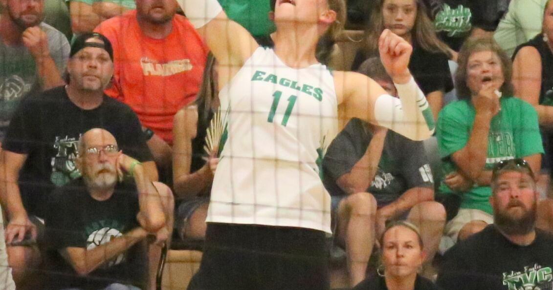 Lady Eagles spoil Southern's undefeated season | Pomeroy and Meigs ...