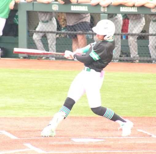 Waterford Wildcats defeat Eastern baseball in Southeast District finals ...