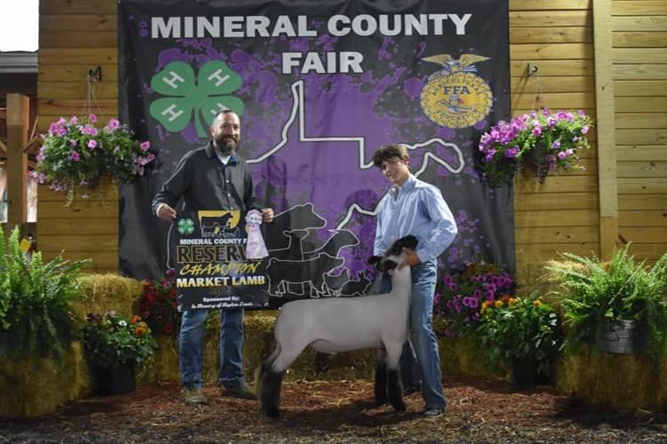 4-H, FFA members earn ribbons for lambs | Mineral County WV News and ...