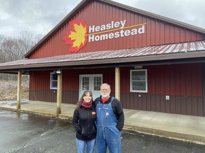Heasley Homestead Maple in Preston County (West Virginia) prepares for ...