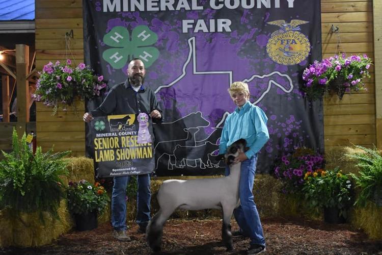 4-H, FFA members earn ribbons for lambs | Mineral County WV News and ...