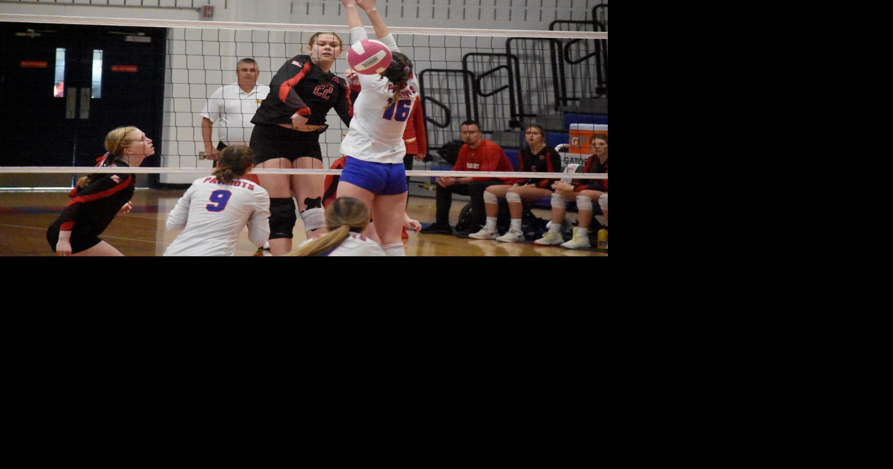 Bridgeport's Alexa Martin leads locals on Class AAA all-state ...