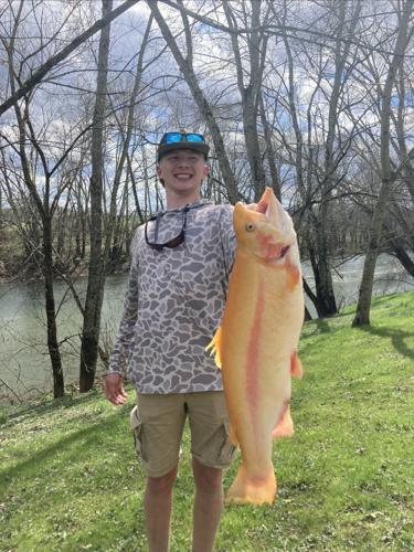 Buckhannon teen catches record golden rainbow trout in WV | WV News ...