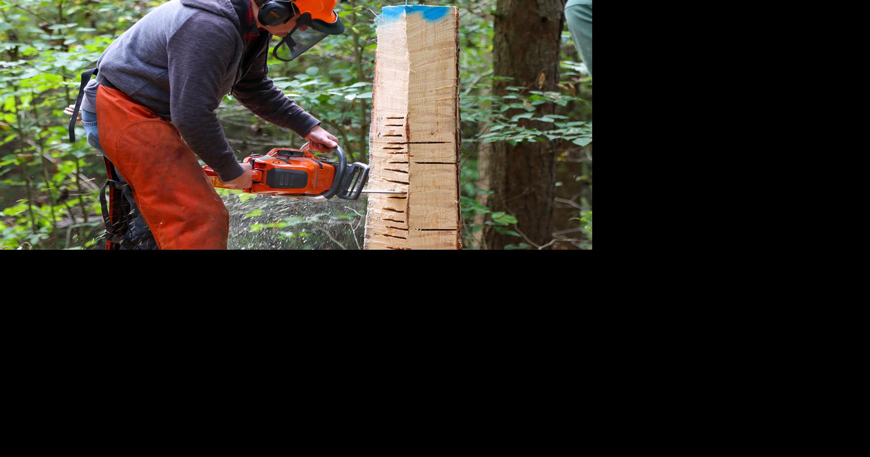 Bore cut | | wvnews.com