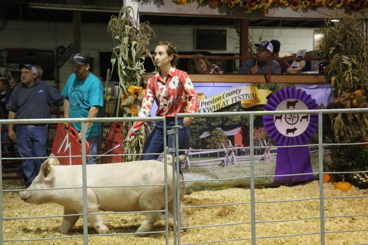 Swine 14 | Buckwheat Festival | wvnews.com