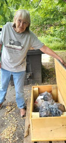 Feeding program expanding services to those in need | Mineral County WV ...
