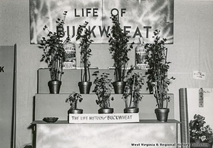 A Community reunion: Annual Buckwheat Festival continues to bring ...