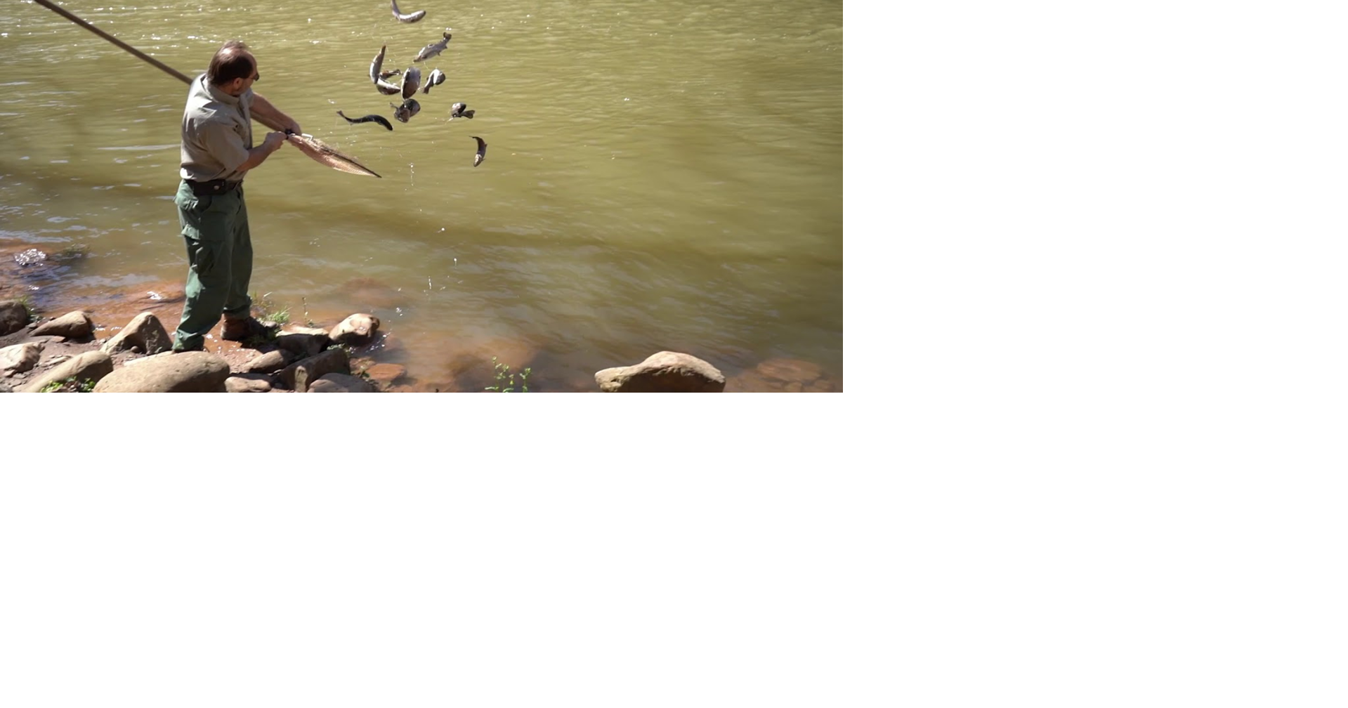 West Virginia Trout Stocking List January 2026 | WV News | wvnews.com