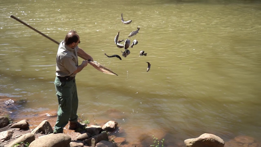 West Virginia Trout Stocking List January 2026 | WV News | wvnews.com