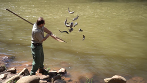 West Virginia Trout Stocking List January 2026 | WV News | wvnews.com