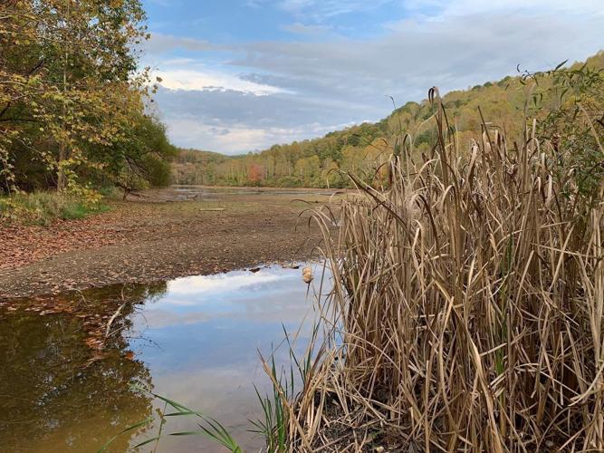 Stonecoal Lake prospers for over 50 years | WV News | wvnews.com