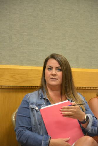 Bridgeport (West Virginia) City Council hears about Bridge Sports ...