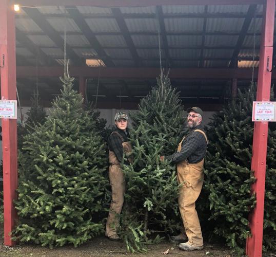 Mountain Top Tree Farm in final year of retail sales | Garrett News ...
