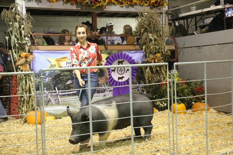 Swine 14 | Buckwheat Festival | wvnews.com