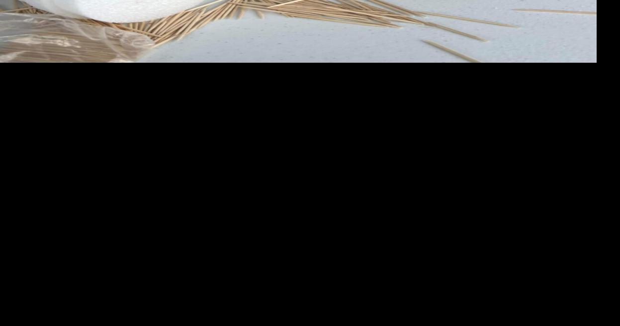 Leap Into Science | | wvnews.com