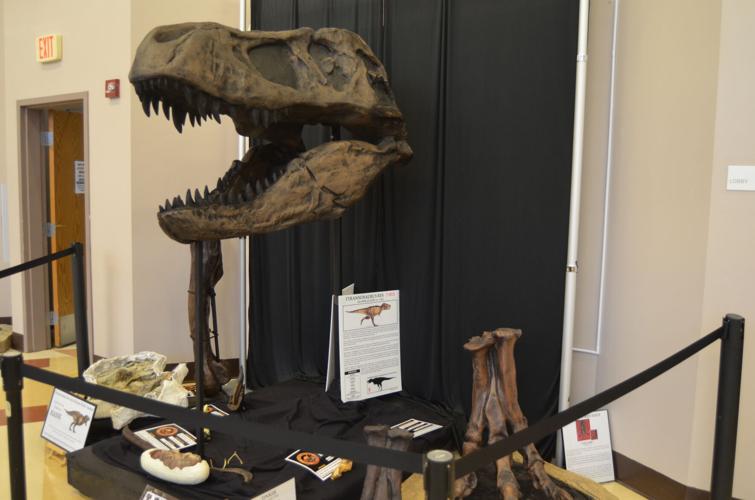 Dinosaur and fossil exhibit opens at Harrison County (West Virginia ...