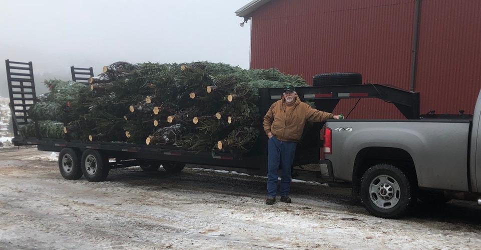 Mountain Top Tree Farm in final year of retail sales | Garrett News ...