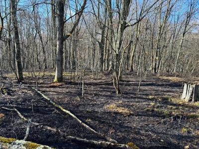 Monongahela NF Fire Update: Woodside Blaze Nearly Out at 85% ...