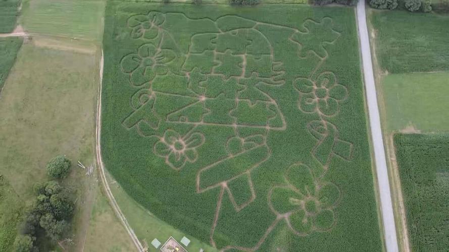 Cove Run Farms Corn Maze open for 23rd season | Autumn Glory | wvnews.com
