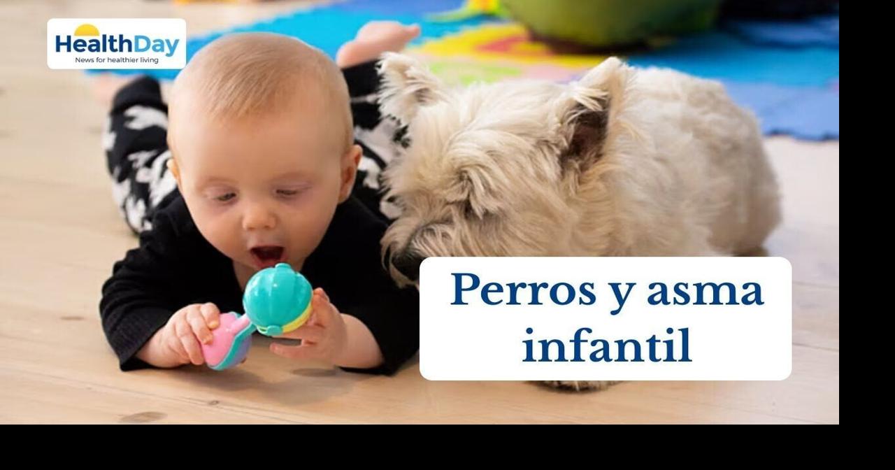 Vivir con un perro (pero no con un gato) puede reducir el riesgo de ...