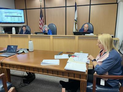 Harrison County (West Virginia) Commission names 5 administrator ...