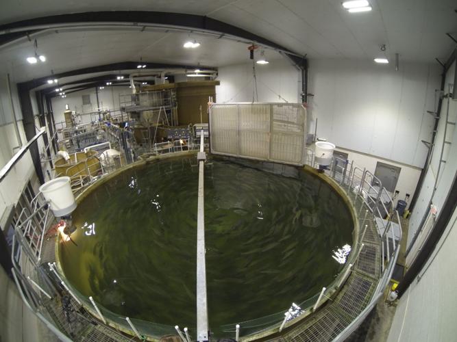 Coal mines offer ‘untapped’ assets for aquaculture | | wvnews.com