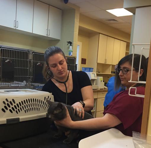 Community Trust Foundation provides grant to HART for Animals | Garrett ...