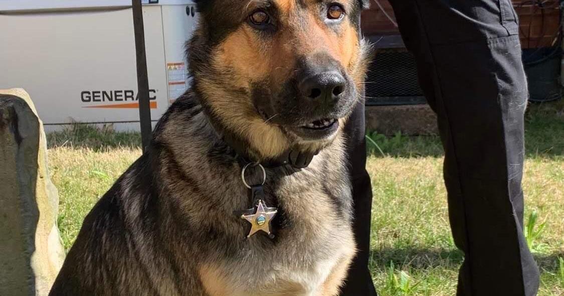 K9 Unit joins the Meigs County Sheriff's office | Gallipolis News ...
