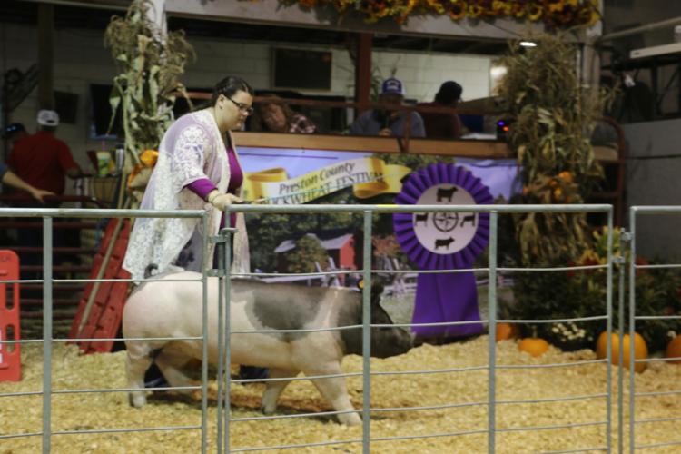 Swine 14 | Buckwheat Festival | wvnews.com