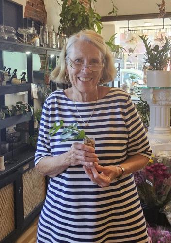 Plant swap brings gardening enthusiasts together in Buckhannon, West ...