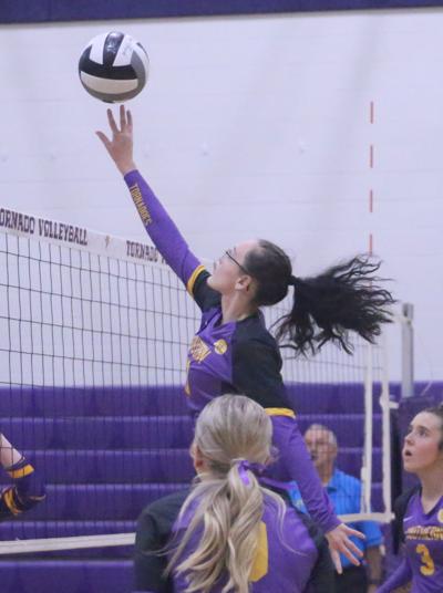 Southern's Timberlyn Templeton awarded OHSAA scholarship | Pomeroy and ...