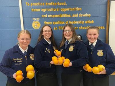 Mineral County FFA fruit sale deadline nears | Mineral County WV News ...