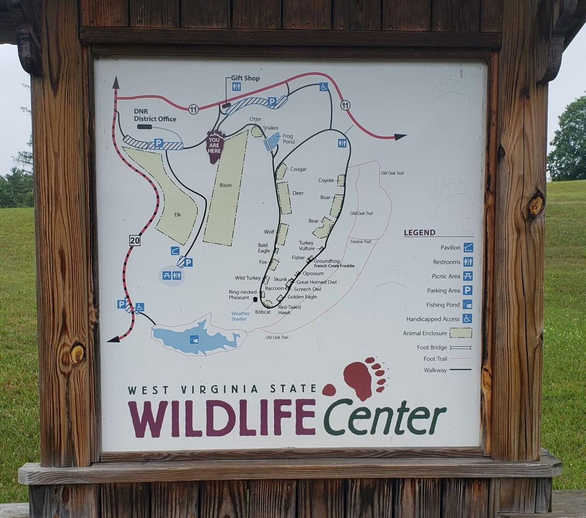 Meet West Virginia’s wildlife up close at the West Virginia Wildlife ...