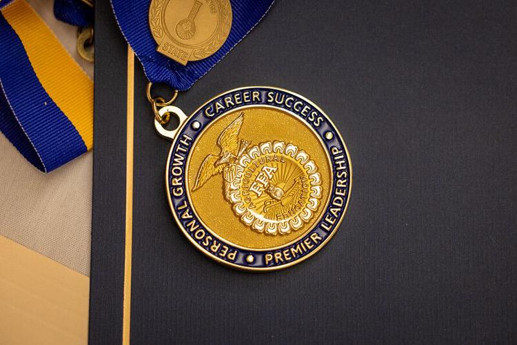 Mineral County FFA earns honors at state events | | wvnews.com