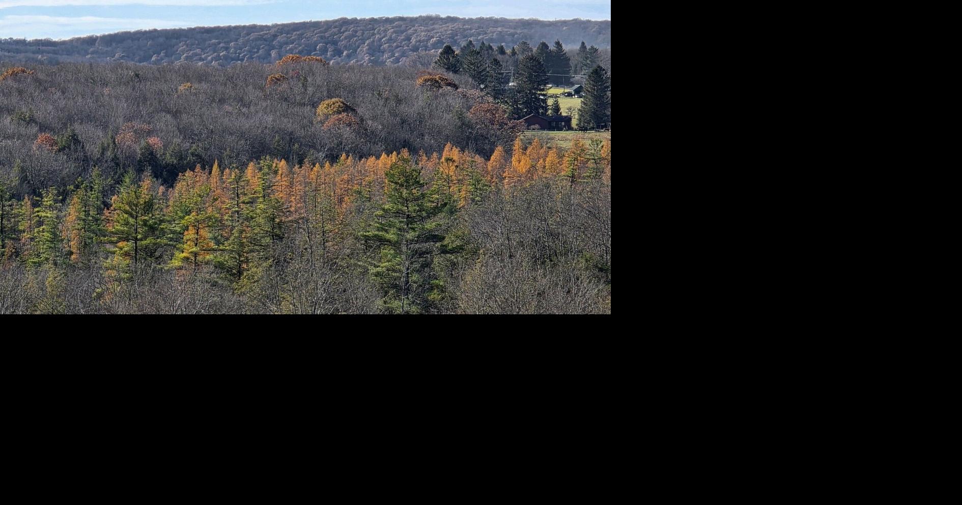 Snow on the horizon? | Garrett News | wvnews.com