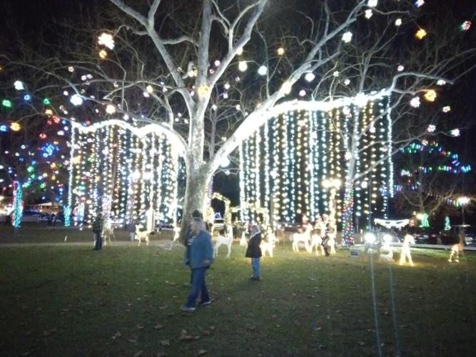 Gallipolis in LIghts illuminates City Park | Gallipolis, Pomeroy, Point ...