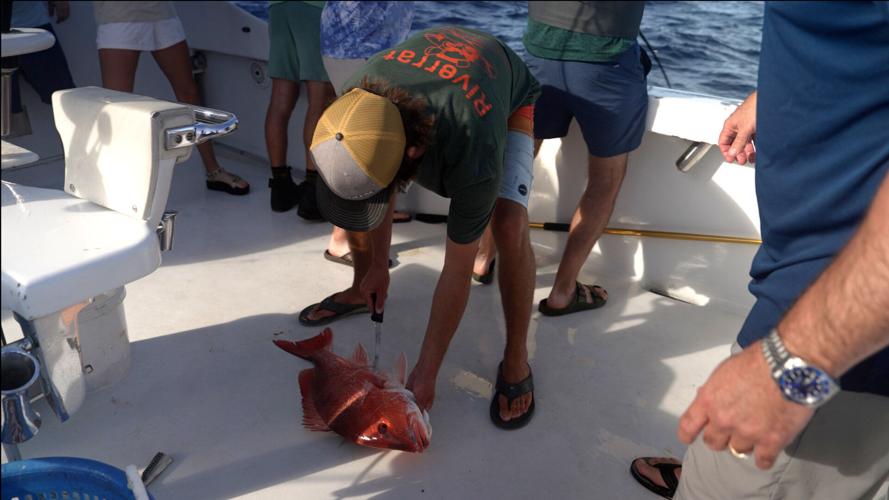 A fish fight off Florida tests Trump’s drive to deregulate America’s ...