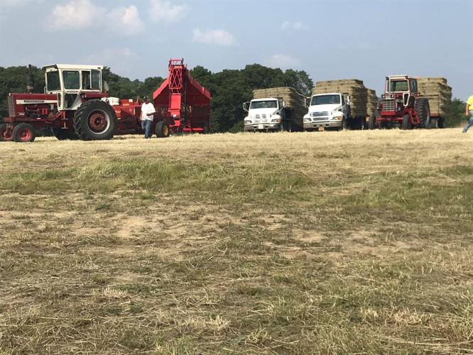 Woodlake Tree Farm to open Nov. 25 | Garrett News | wvnews.com