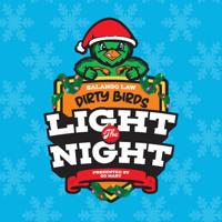 Charleston Dirty Birds Baseball Team Hosts Spectacular Light the Night ...