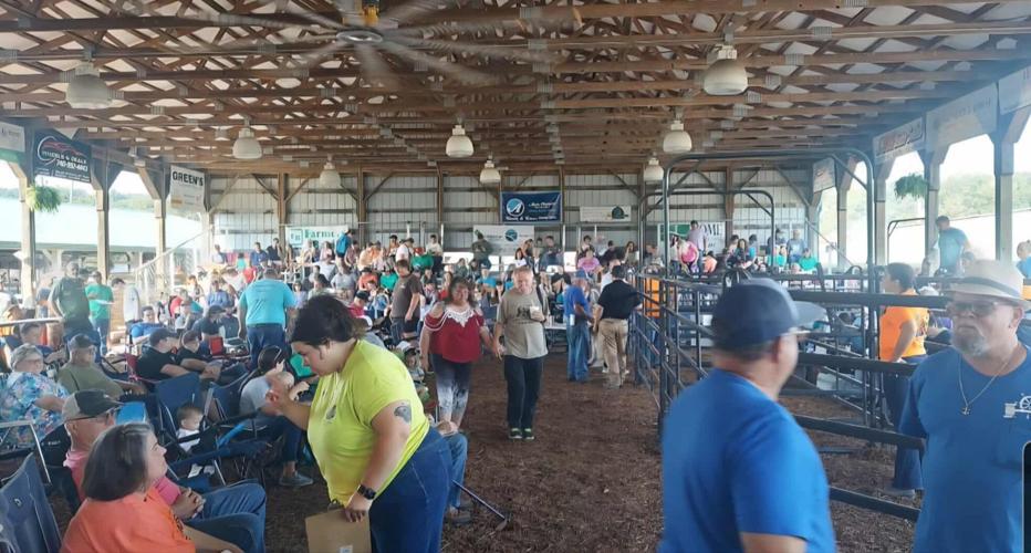 Meigs County Fair wraps up 162nd year with livestock winners, music and ...