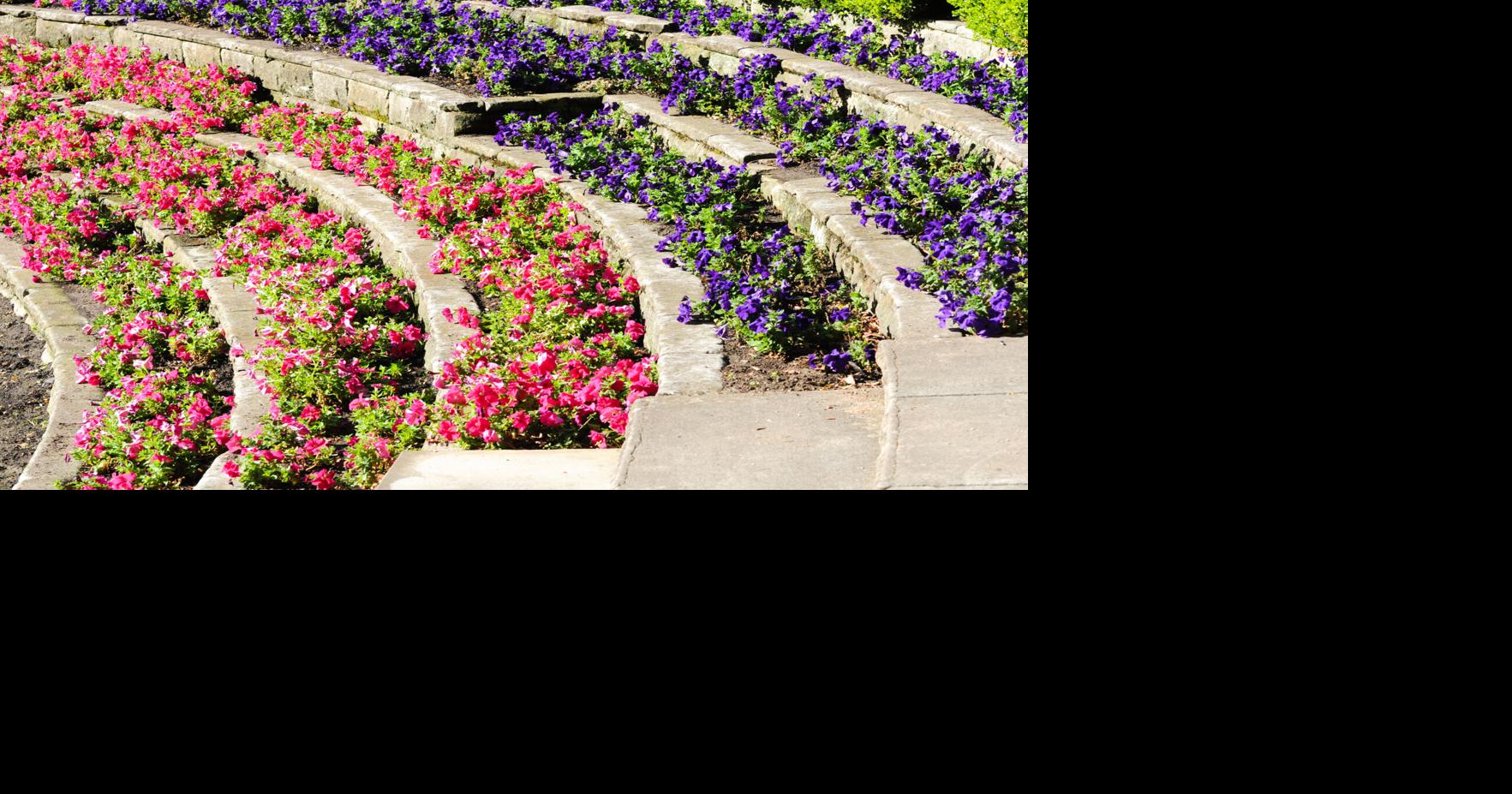 Tame the slope: How to build terraced planters on West Virginia ...