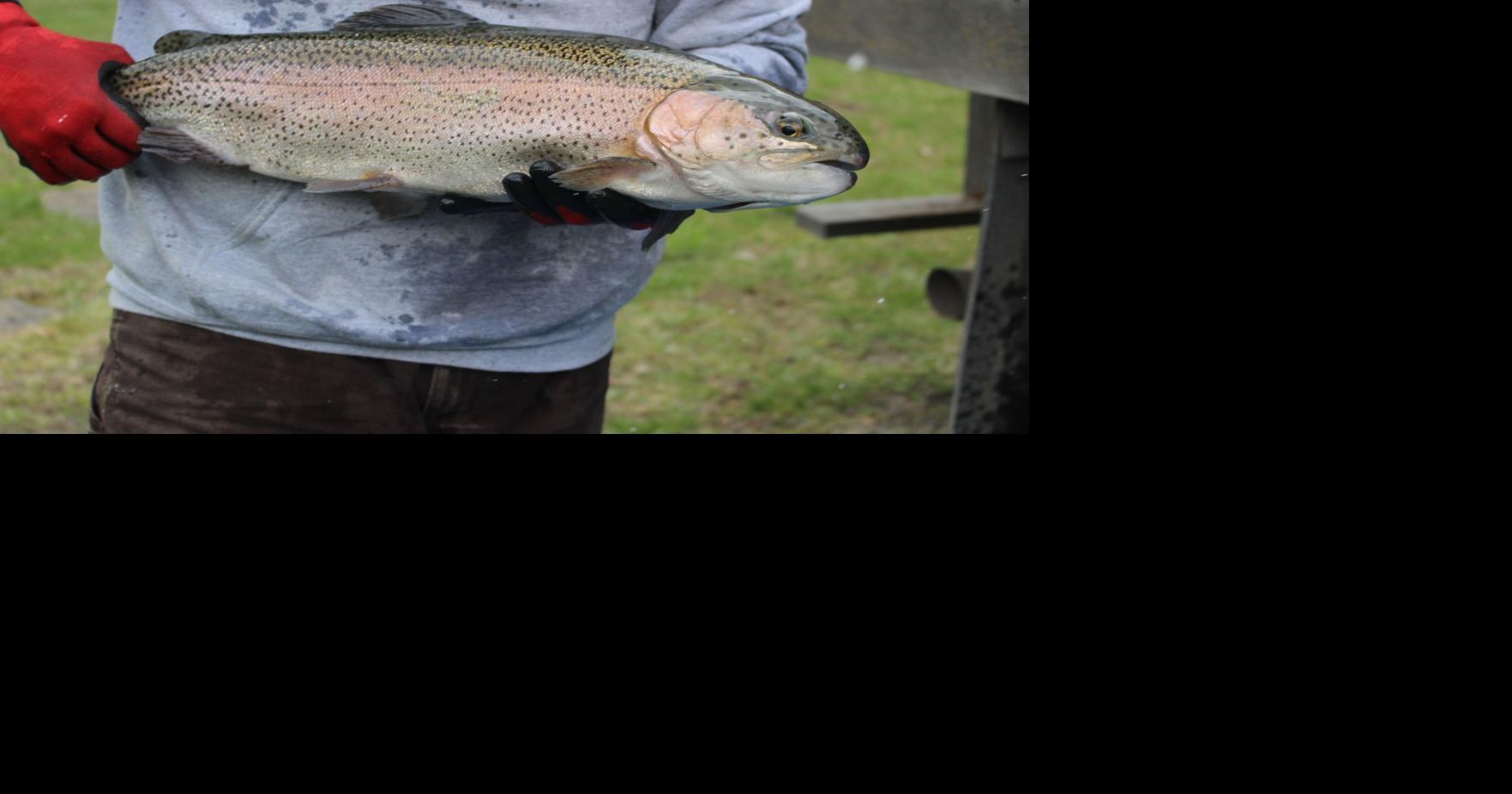 West Virginia DNR made changes made to trophy fish programs | WV News ...
