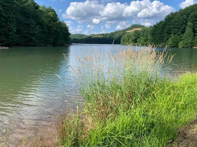 Stonecoal Lake prospers for over 50 years | WV News | wvnews.com