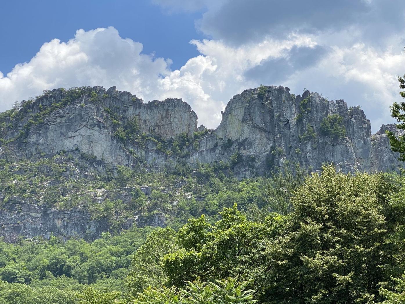 Good News — Survival of the fittest? | Opinion | wvnews.com