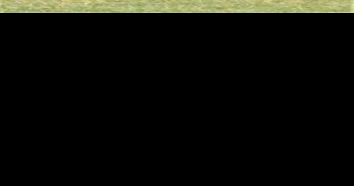 Preston baseball, softball swept by Liberty | Preston County Sports ...