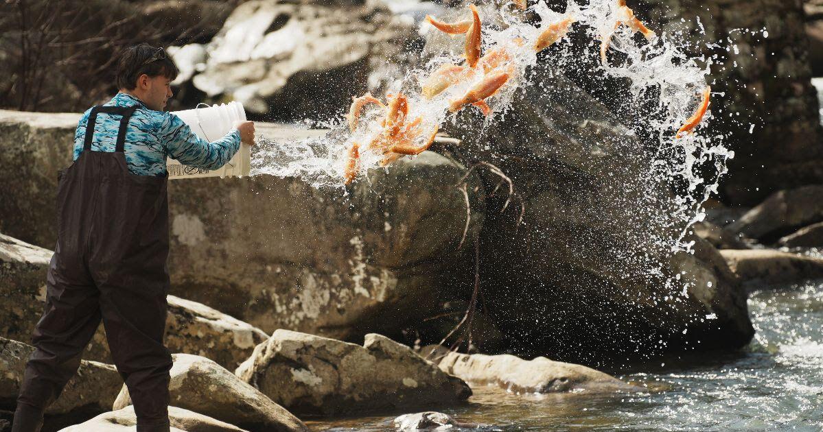 Gov. Justice announces largest West Virginia Gold Rush to date | WV ...