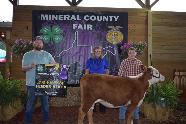 Photo Gallery: 4-H, FFA members earn honors in beef show | Mineral ...