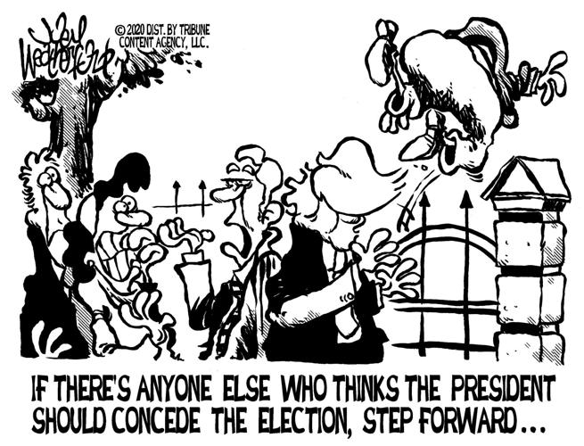 Weatherford cartoon: Conceding the election | Opinion for Mineral ...
