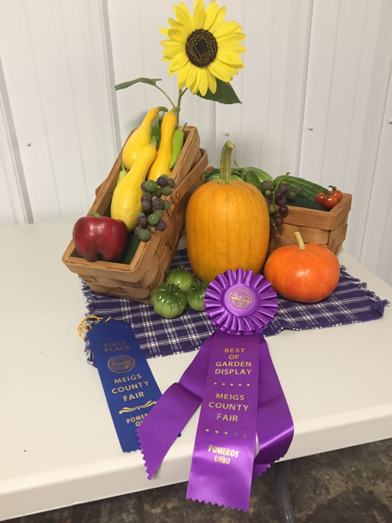 Domestic arts will be showcased at annual Meigs County Fair ...