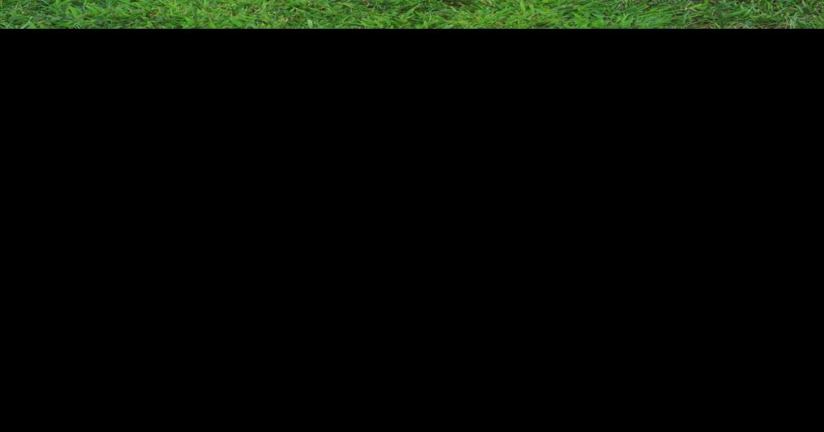 South Harrison's Chase Jenkins | Game Faces | wvnews.com